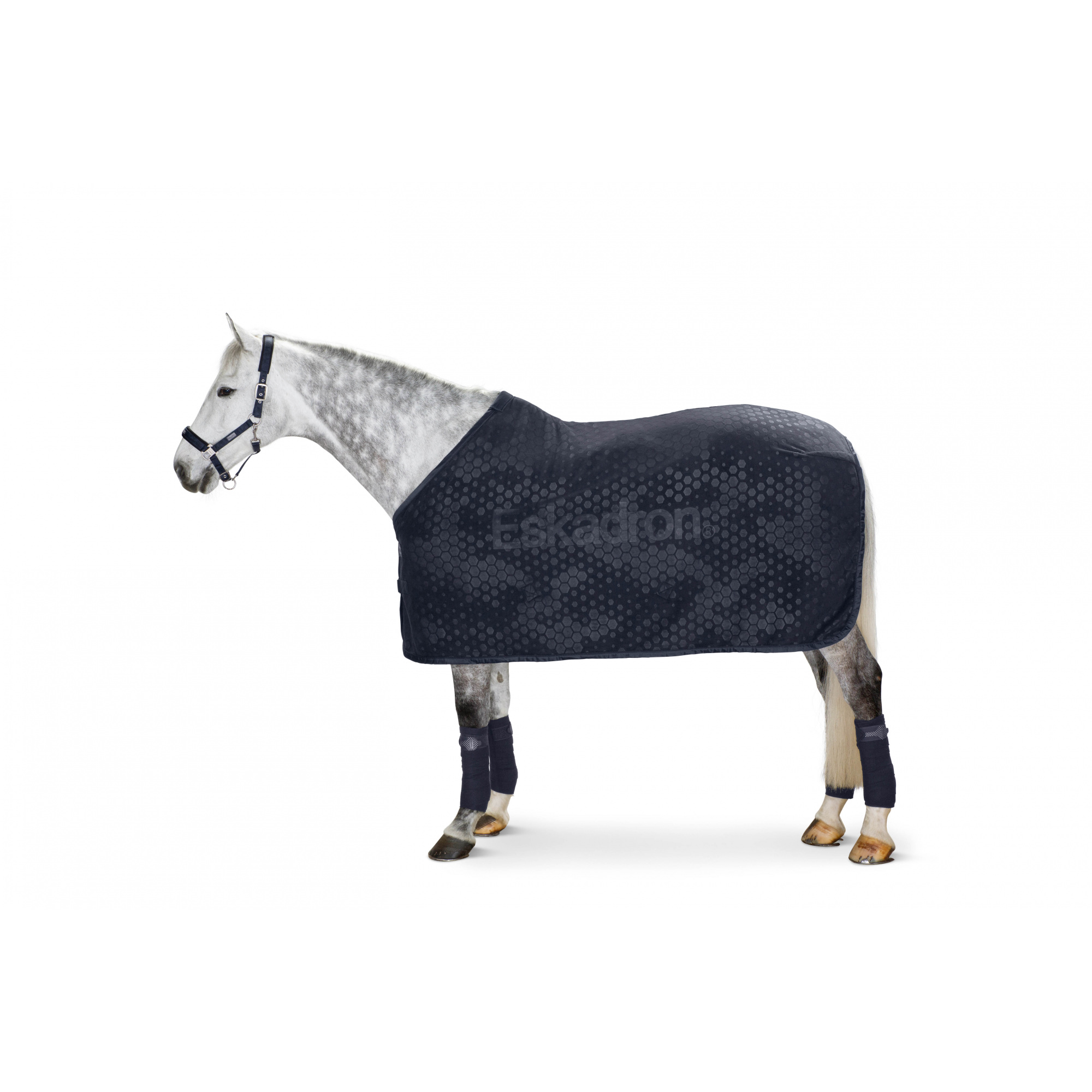 What Is A Sweat Rug For Horses at Alannah Thwaites blog