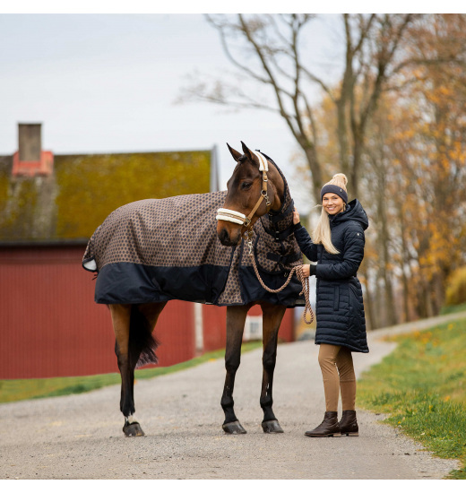 HORZE AVALANCHE 1200D MEDIUM COMBO TURNOUT RUG, 150G - EQUISHOP ...