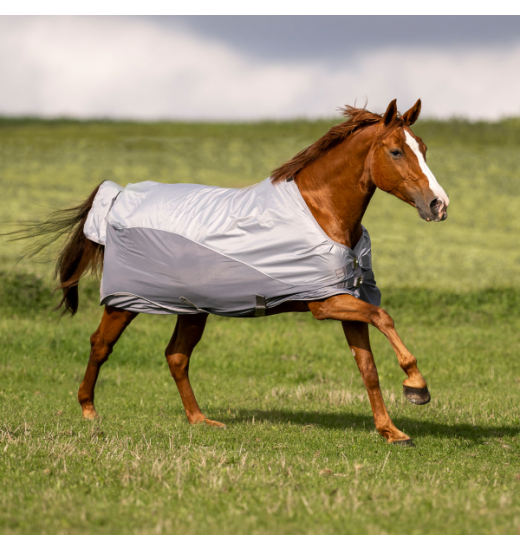 BUSSE TURN-OUT RUG RAINFLY - EQUISHOP Equestrian Shop