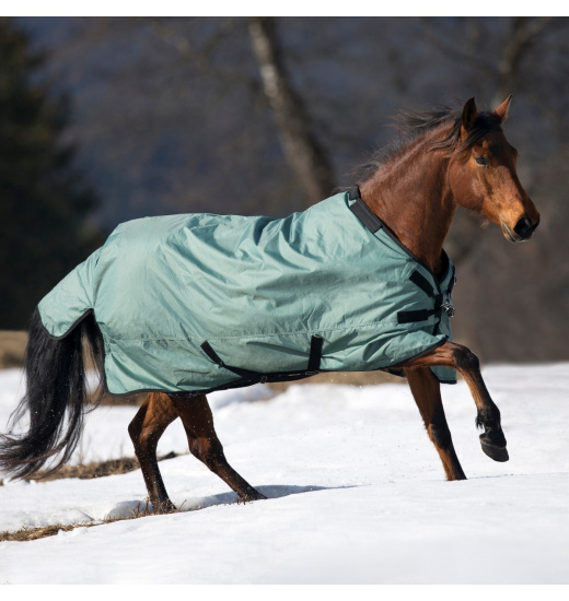 BUSSE FLEXIBLE PRO 100 HORSE TURNOUT RUG - EQUISHOP Equestrian Shop