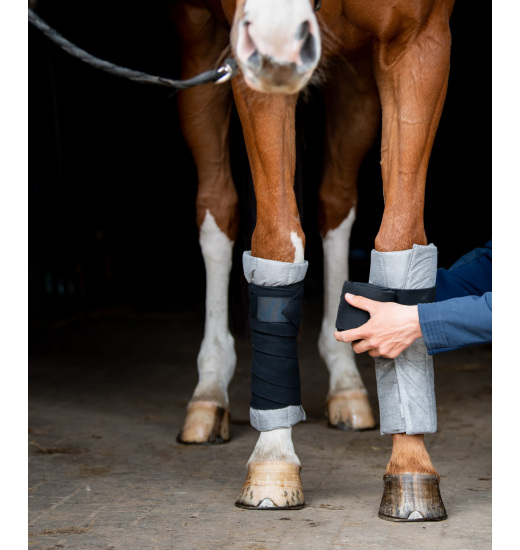 TORPOL HORSE LEG WRAPS MEMORY - EQUISHOP Equestrian Shop
