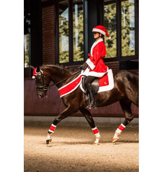 HORZE CHRISTMAS HARNESS FOR HORSES - EQUISHOP Equestrian Shop