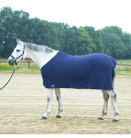BUSSE BASIC II HORSE COOLER RUG - EQUISHOP Equestrian Shop