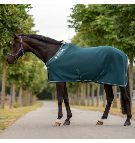 BUSSE 3D AIR PREMIUM DERKA OSUSZAJĄCA DLA KONIA - EQUISHOP Reitshop