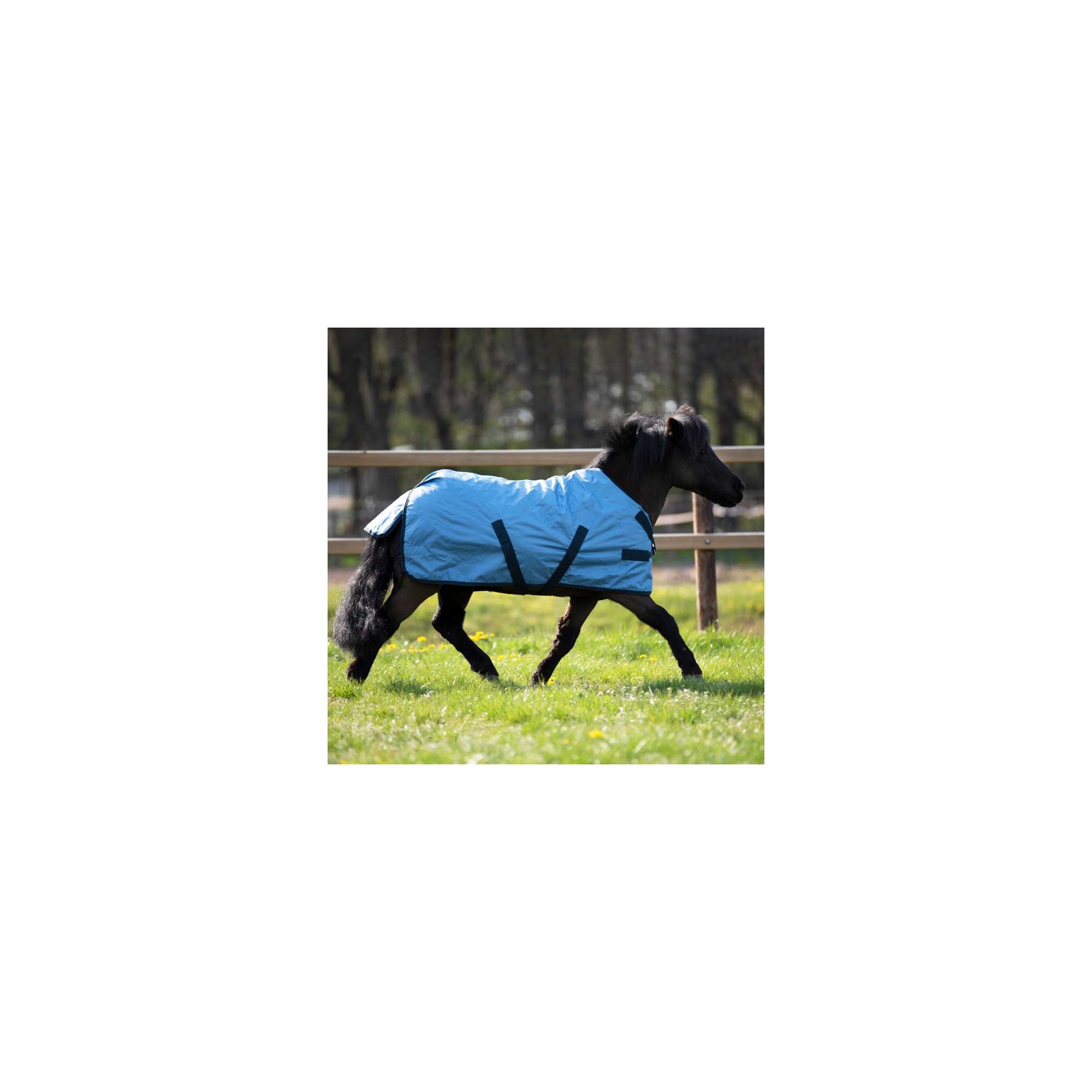 BUSSE WINDCHILLY MINI 00 DERKA PADOKOWA DLA KONIA - EQUISHOP Reitshop