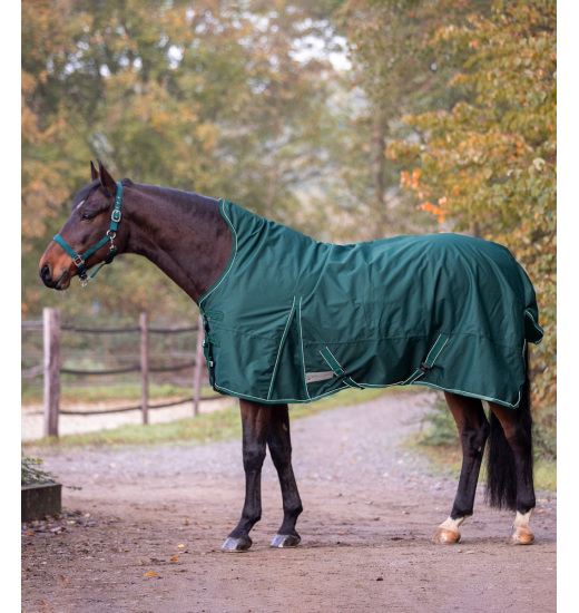 WALDHAUSEN ECONOMIC DERKA PADOKOWA DLA KONIA Z KOŁNIERZEM LIGHT ...