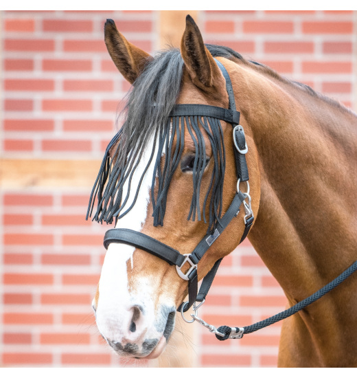 BUSSE HORSE FLYSTRING BROWBAND VISBY II - EQUISHOP Equestrian Shop