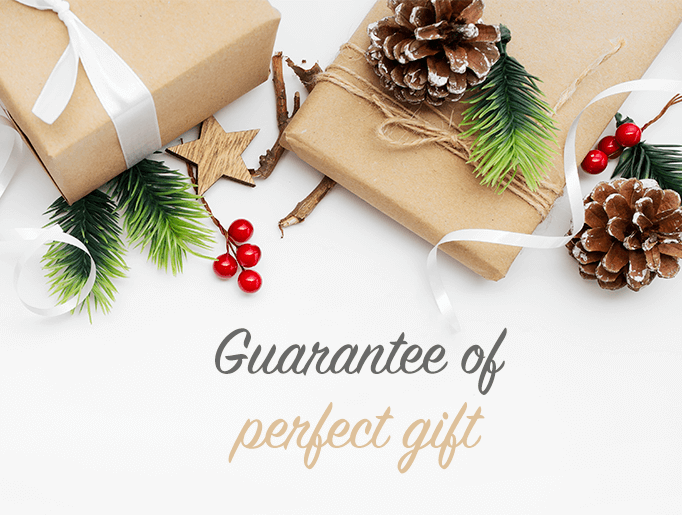 EQUESTRIAN EQUIPMENT FOR CHRISTMAS 2020 - EQUISHOP Equestrian Shop