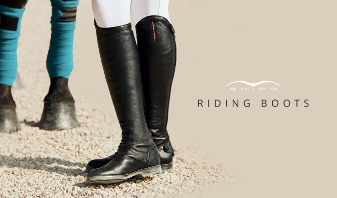 Equishop - Equestrian, English Tack Shop & Store